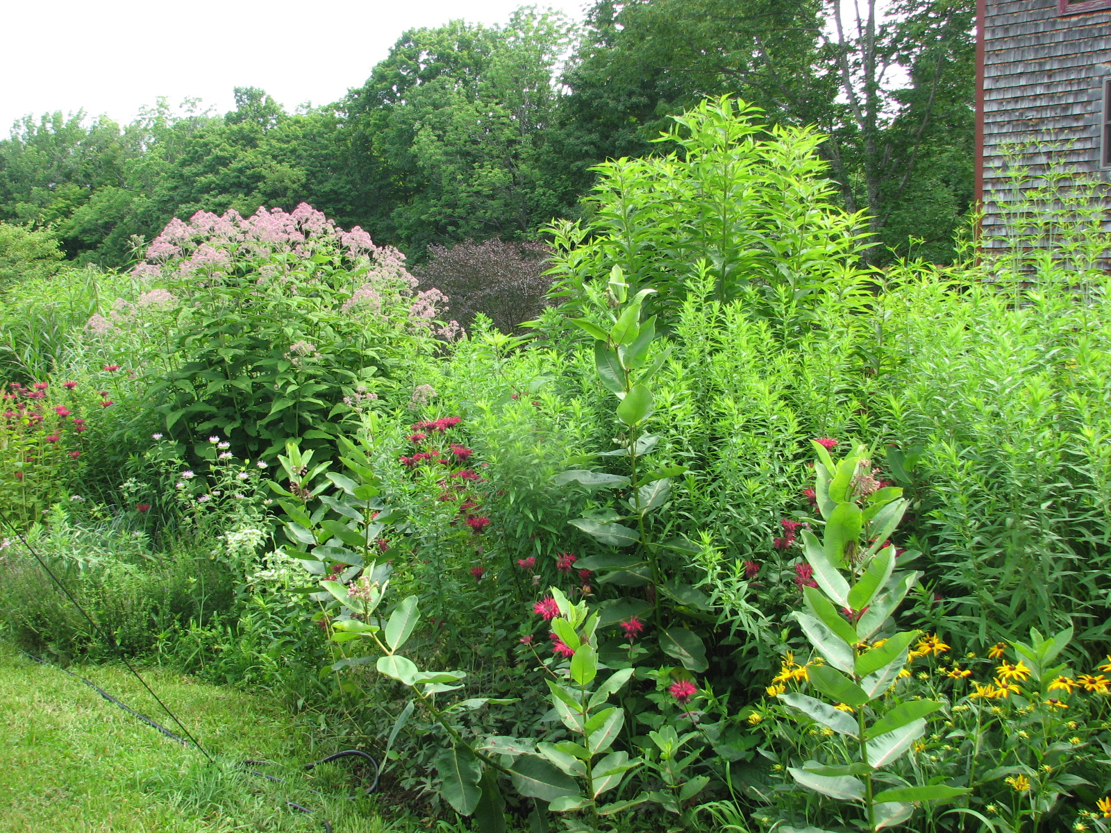 Pollinator Gardening Workshop